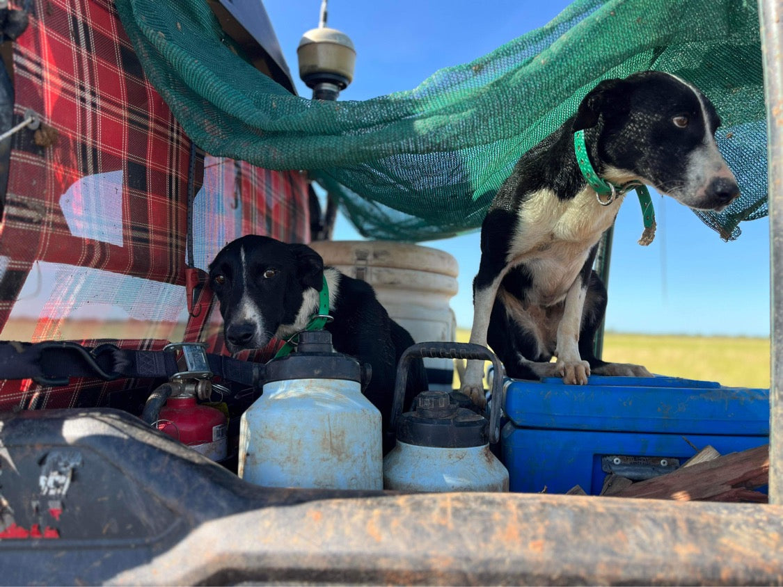 FAQ's on the 5.8L watercan – Yowy